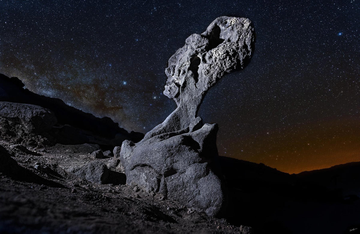 Alien Queen - Documentary photography by Mark Alberhasky – Loupe, Inc