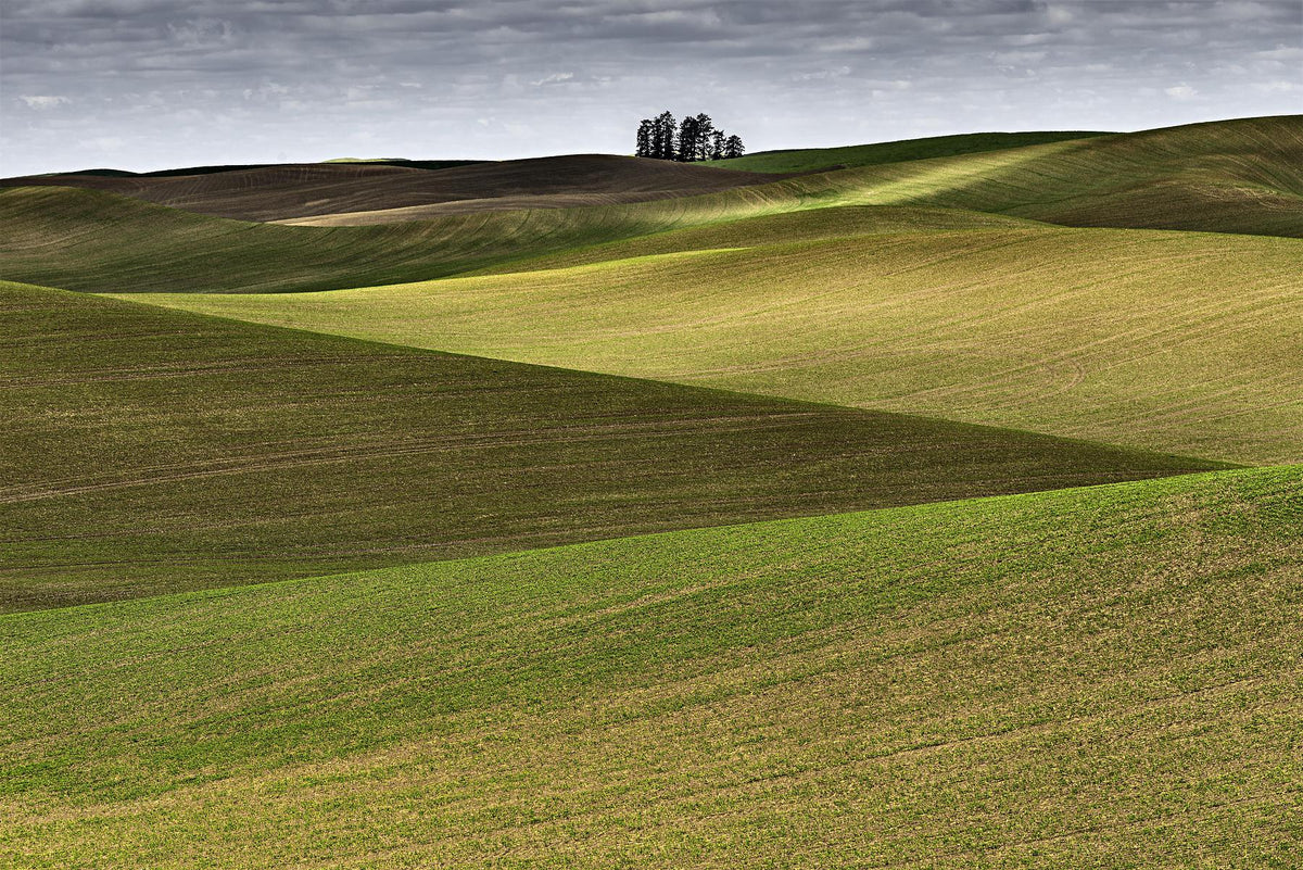 Puzzle in Palouse - Documentary photography by Mark Alberhasky – Loupe, Inc